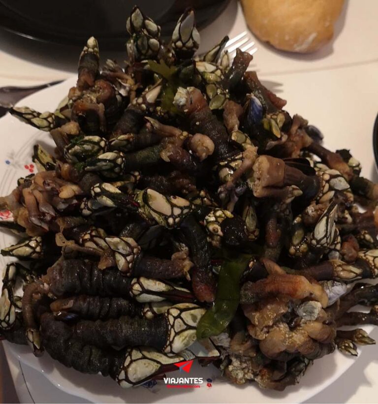 24 fiestas gastronómicas de Galicia